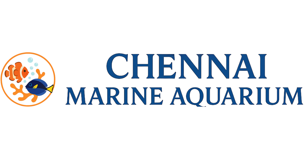 Products – Page 14 – Chennai Marine Aquarium